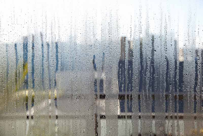 How Facility Managers Can Combat the Rising Humidity | Donnelly